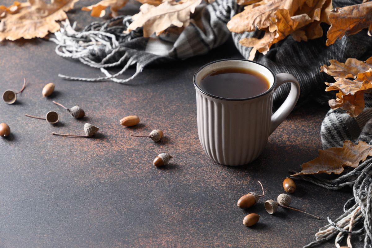 Gilių kava - senų tradicijų gėrimas. Kaip ją paruošti?
