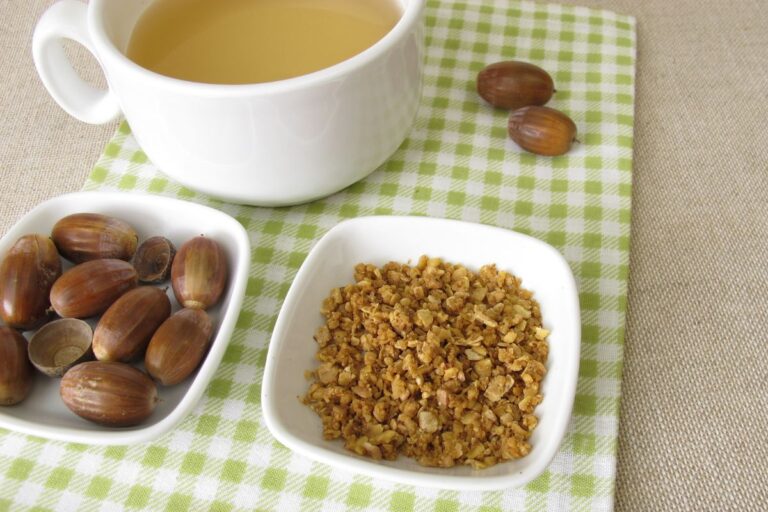 Gilių kava - senų tradicijų gėrimas. Kaip ją paruošti?